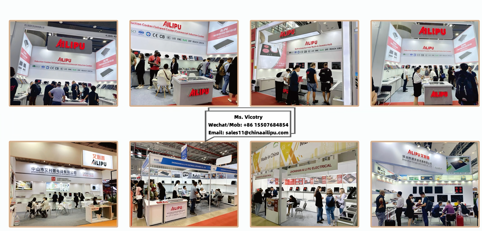 Alp-12 Induction Cooker With Blue Lighting, Alp Induction Cooktop, Alp ...