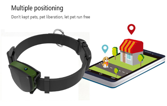 Oem Manufacturer Waterproof 2g Pets Gps Tracking Device Sim Card Collar ...