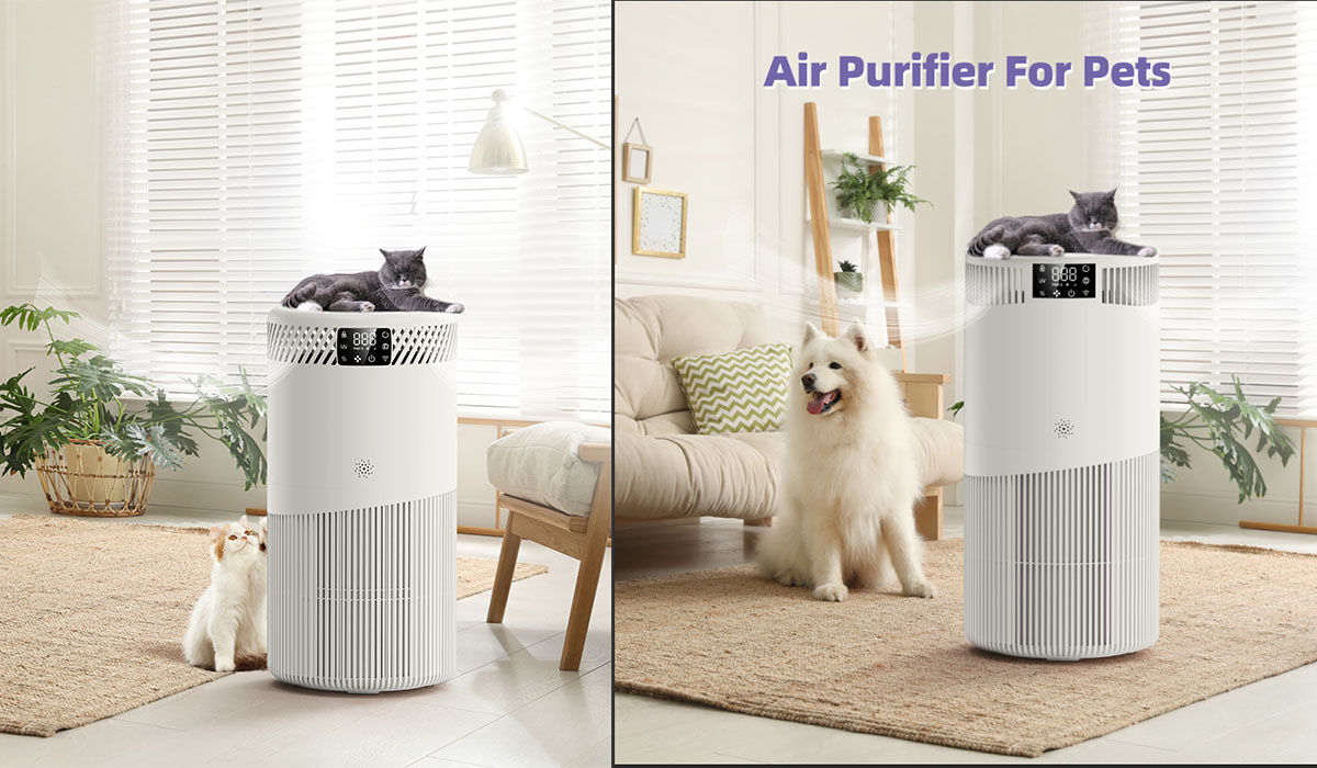 Factory Direct High Quality China Wholesale Pet Air Purifier H13 True ...