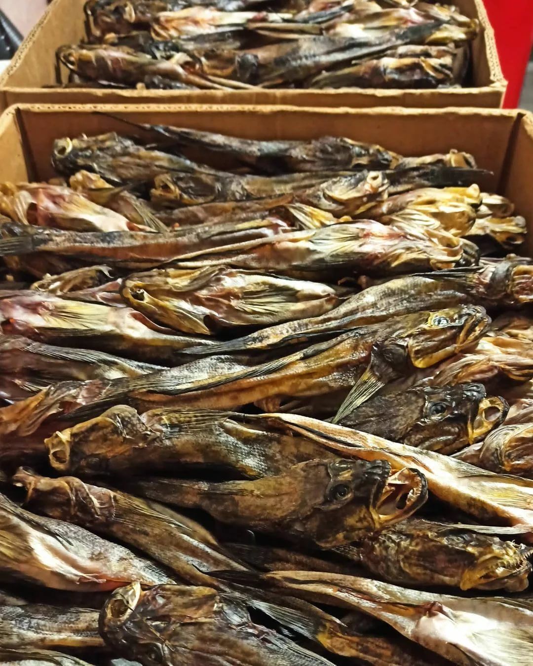 High Quality Dry Stock Fish / Dry Stock Fish Head / Dried Salted Cod ...