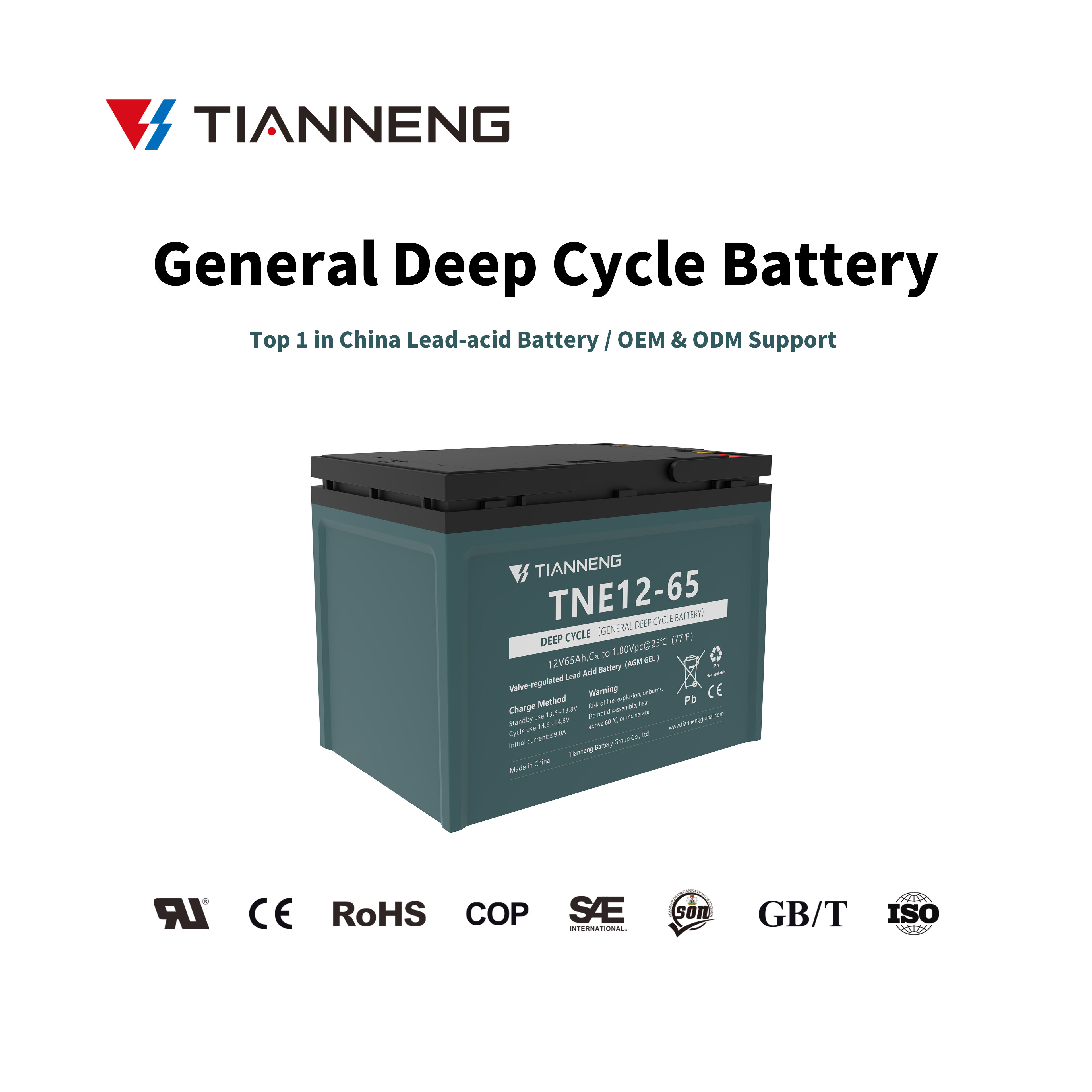 Tianneng Battery Manufacturer Power Supply Deep Cycle Lead Acid Battery ...