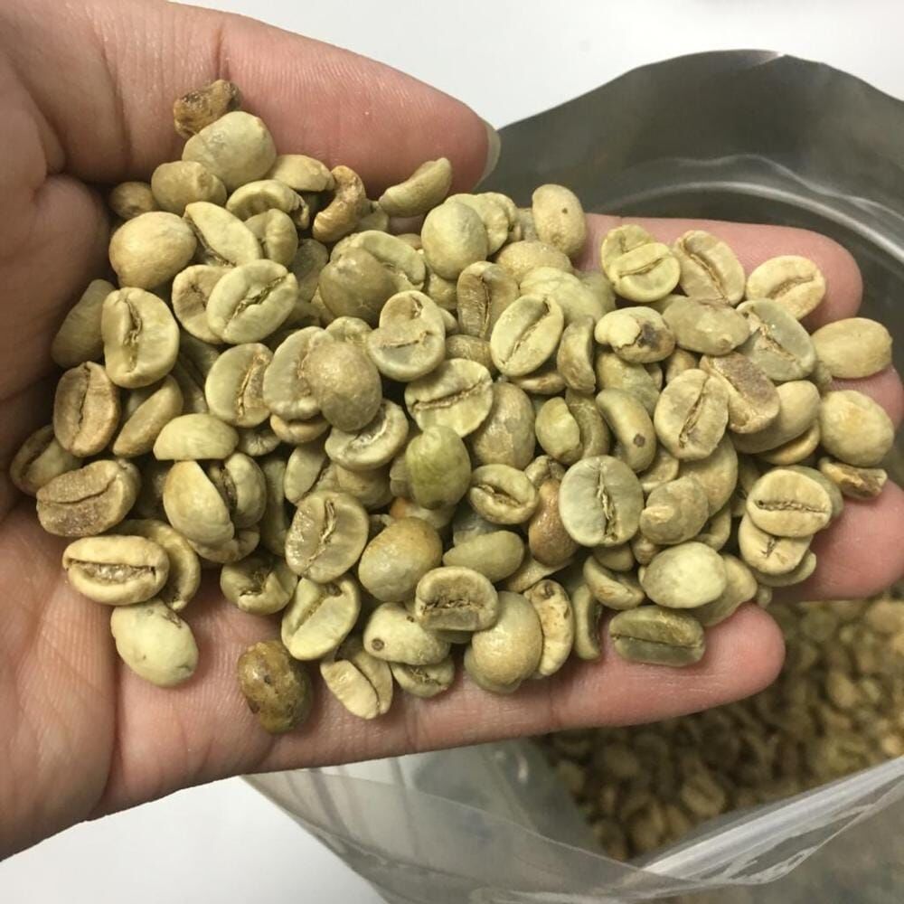 Green Arabica Coffee Beans / Brazilian Coffee Beans For Sale ...