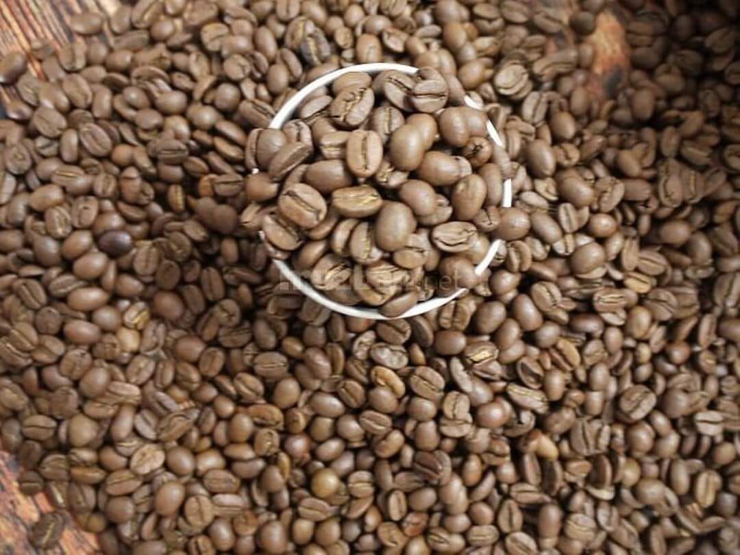 100% Natural Robusta Green Coffee Bean Whole Sale Price Vietnam Green ...