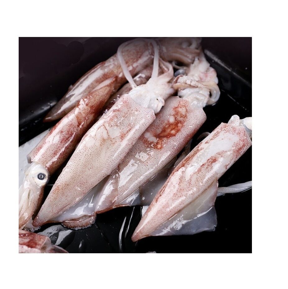 Best Quality Hot Sale Price Frozen Whole Loligo Squid (seafood) From ...