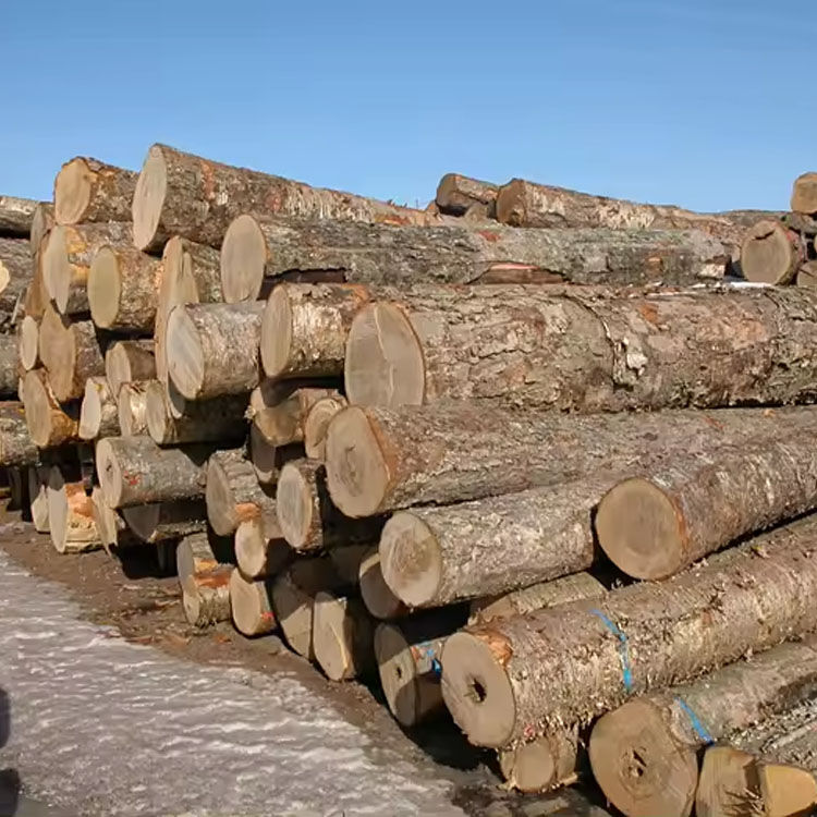 Best Quality Hot Sale Price Kiln Dried Firewood | Oak And Beech ...