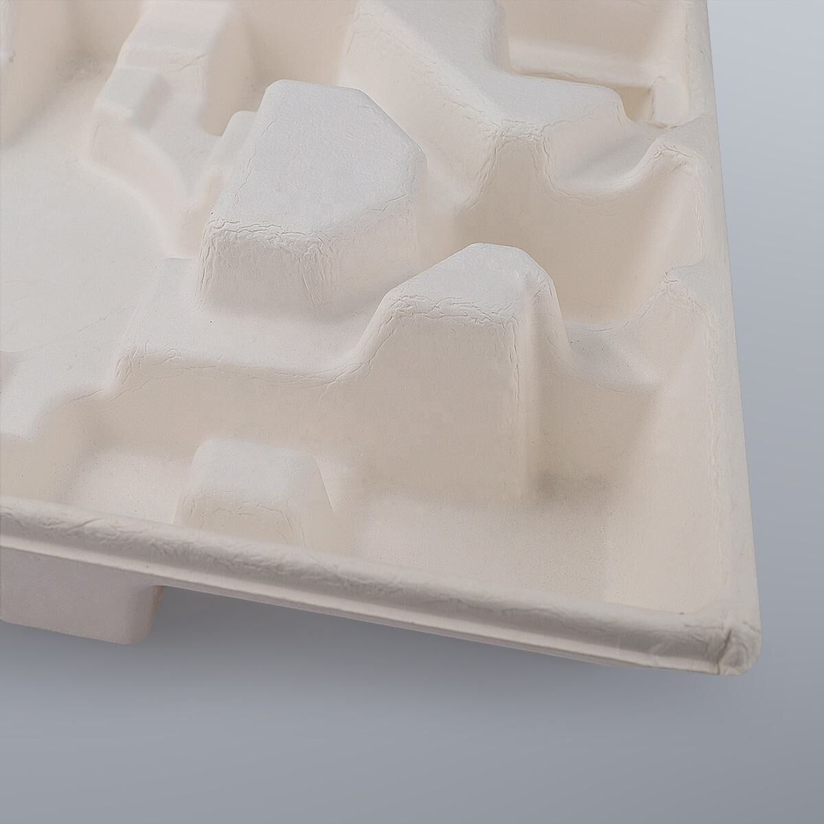 Bagasse Pulp Molded Packaging Tray Biodegradable Recycled Molded Paper ...