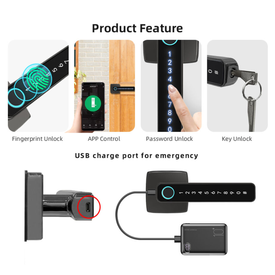Intelligent Electronic Biometric Home Fingerprint Password Handle Lever ...
