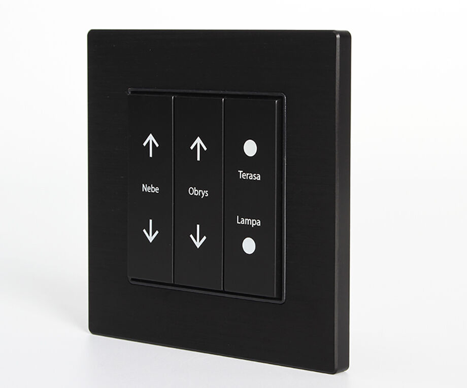 Black Color Cnc Aluminum Brushed Frame Vertical Layout Reset Push ...