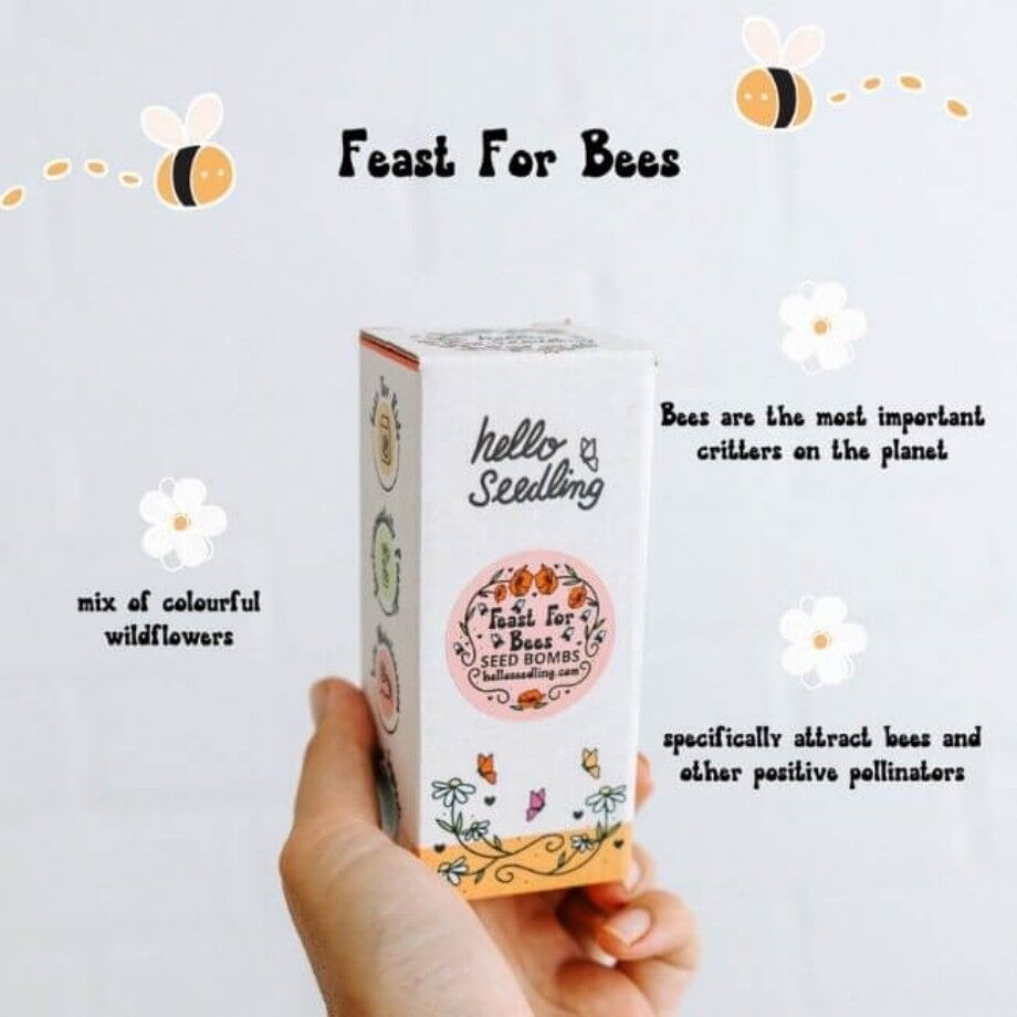 Buy China Wholesale Hot Selling Feast For Bees Wildflower Seed Bomb Kit ...