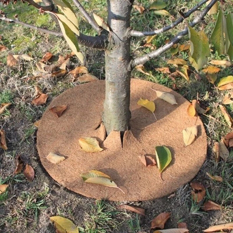 Deepthi Coco Coir Mulch Mat For Plants, Cover For Flower Pots, Tree ...