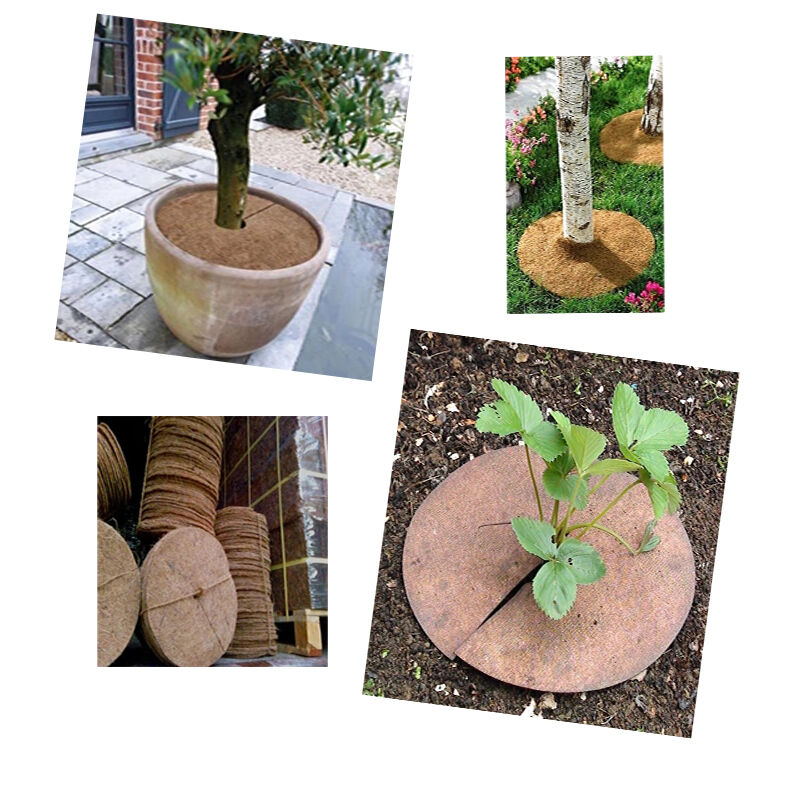 Deepthi Coco Coir Mulch Mat For Plants, Cover For Flower Pots, Tree ...