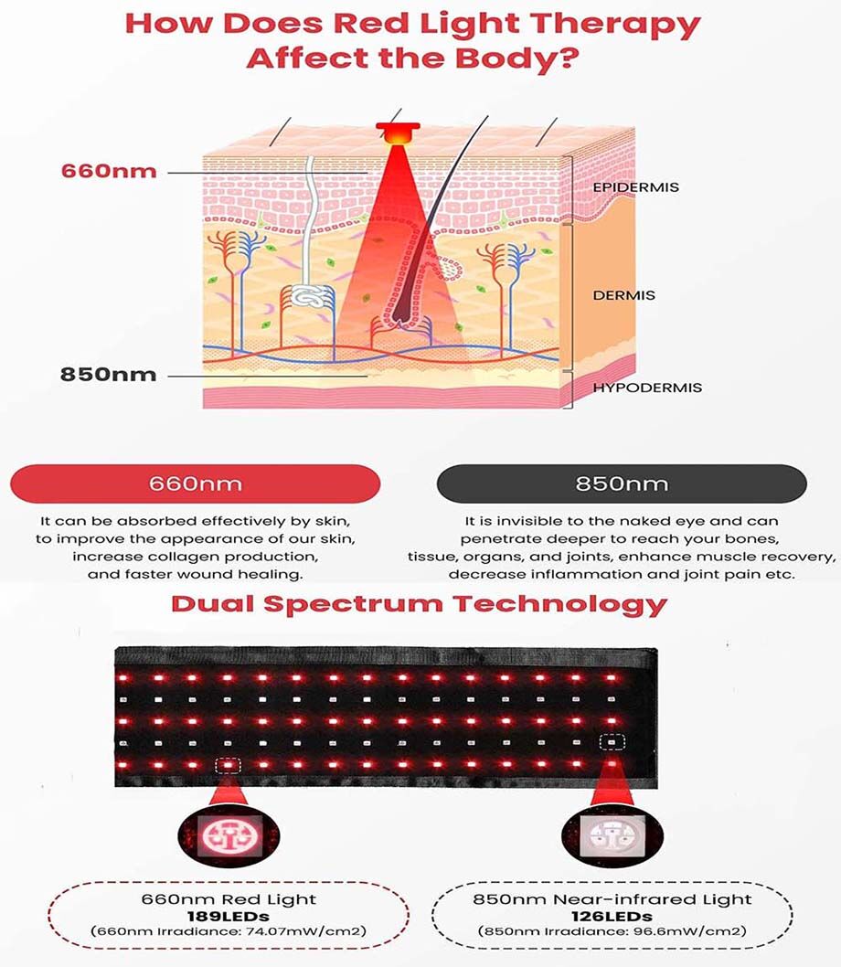 Full Body Health Care 650nm 830nm Infrared Red Light Therapy $220 ...