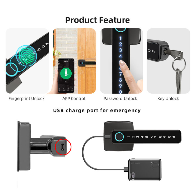 Wholesale App Remote Control Digital Lock Door Security System Handle ...