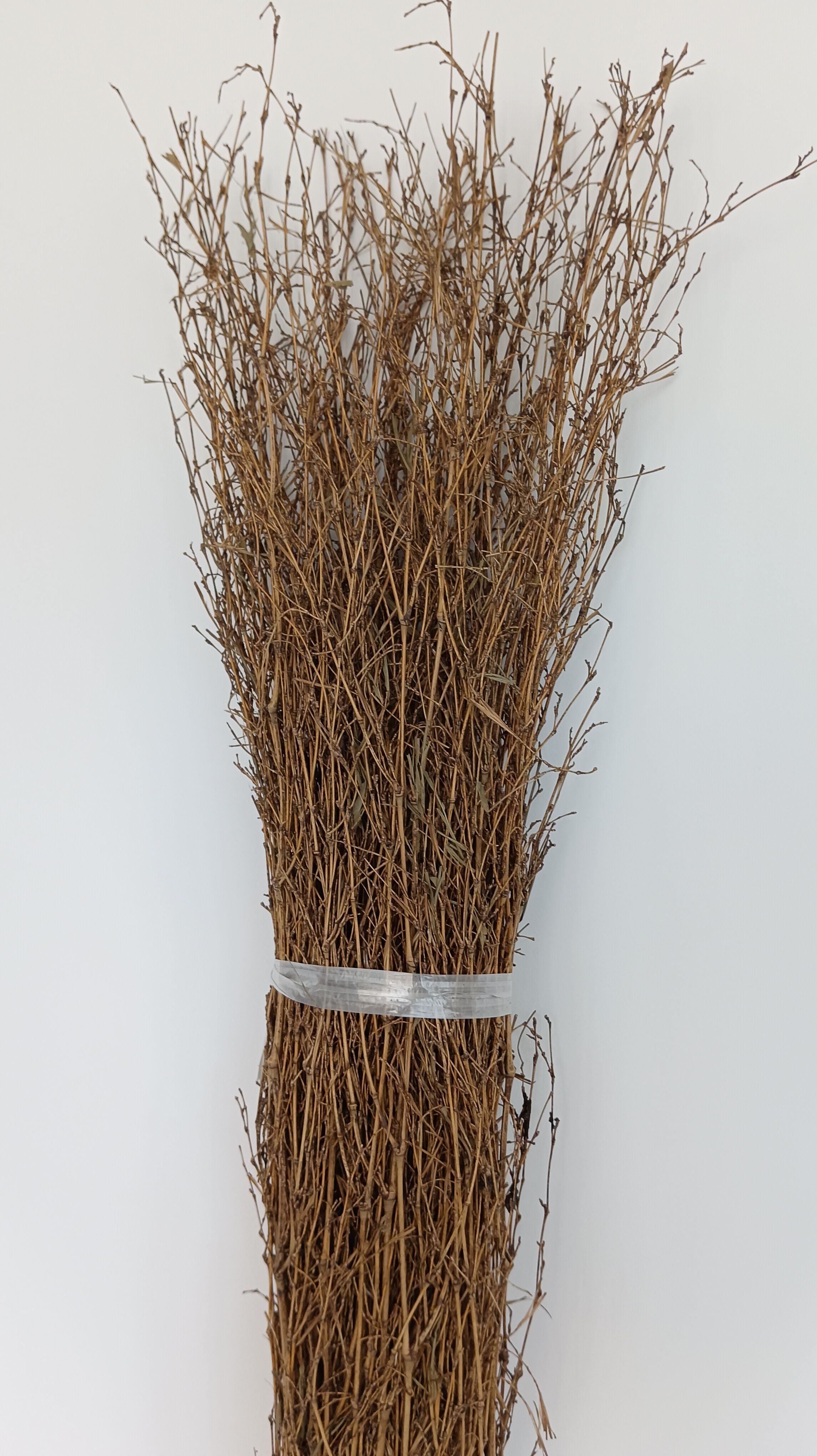 Sweeping Broom, Indoor Outdoor Bamboo Broom With Bamboo Handle Broom ...