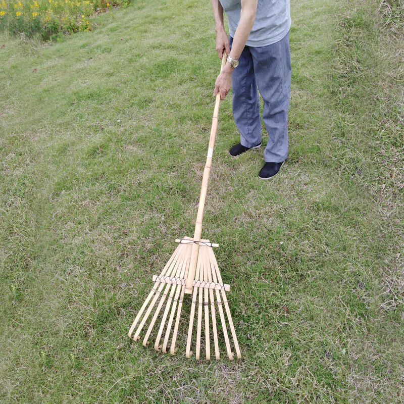 Buy China Wholesale Kids Lawns Leaf Rake Lawn Rake Short Handle Rake ...