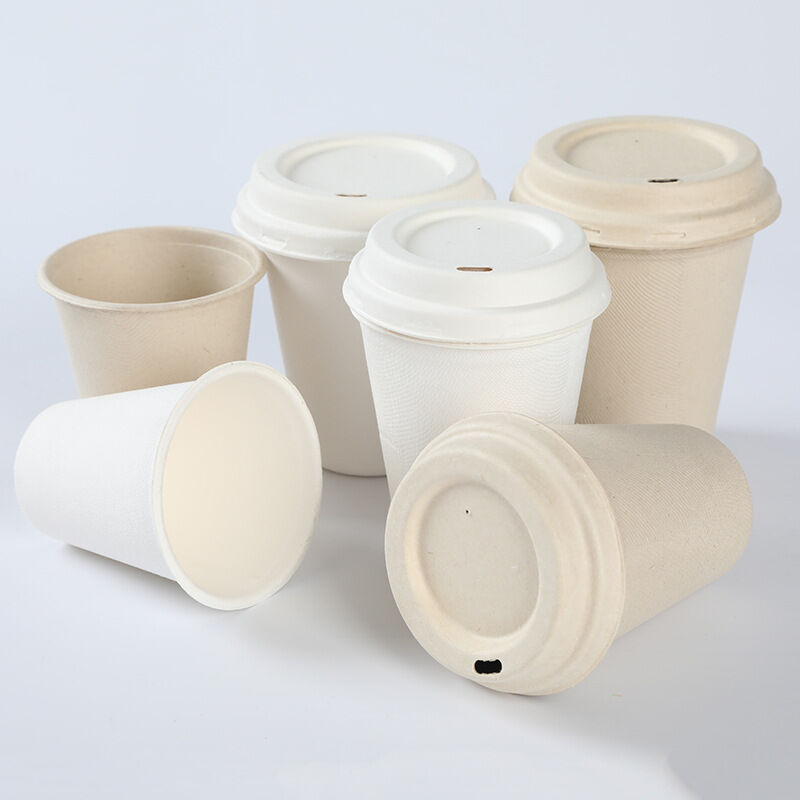 Bulk Buy China Wholesale White And Natural Biodegradable Disposable ...