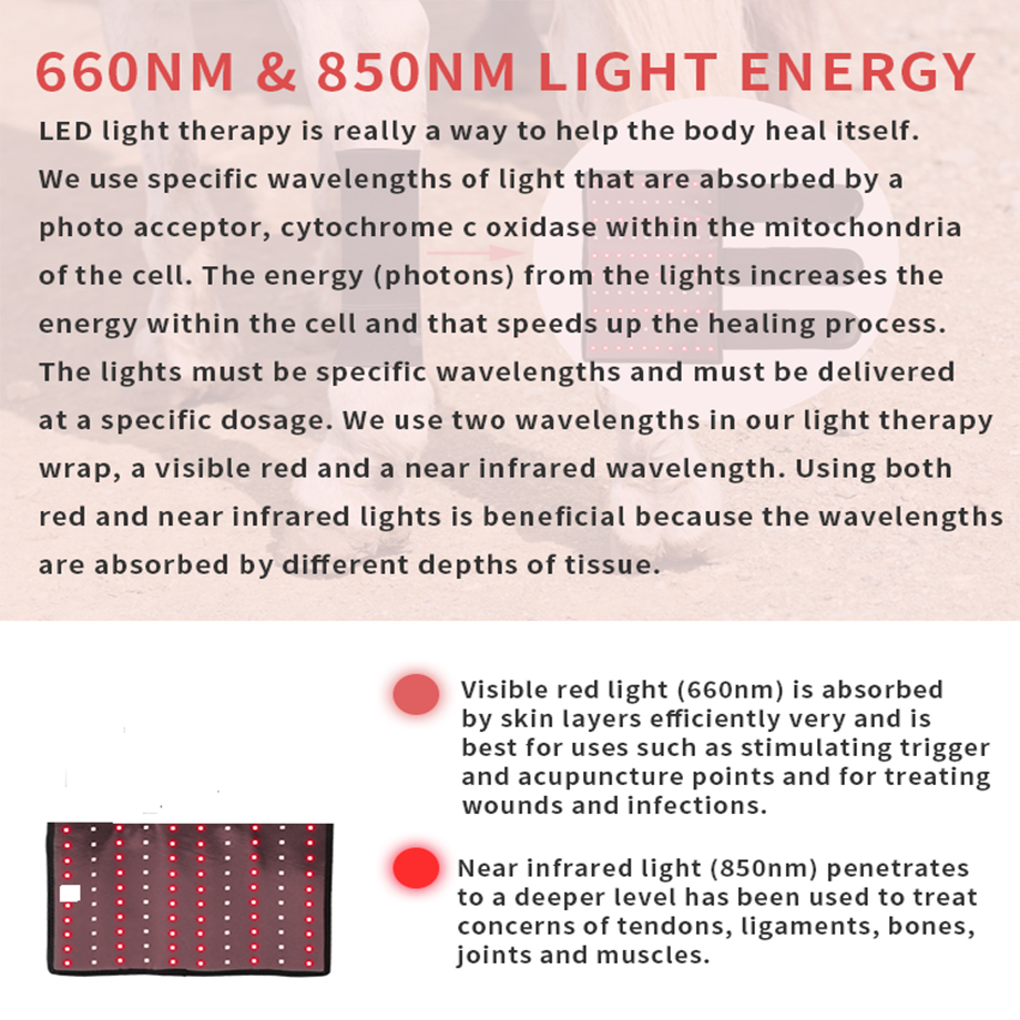 Red Light Therapy Wrap Pad For Wrist Hand Sport Injuiry $20 - Wholesale ...