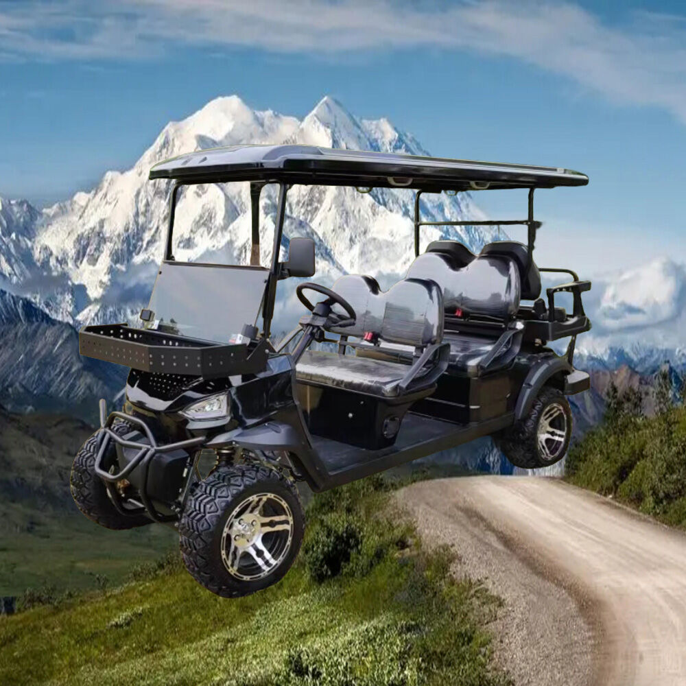 Golf Cart Sports Factory Supply Classic Cheap Price Electric Vehicle ...