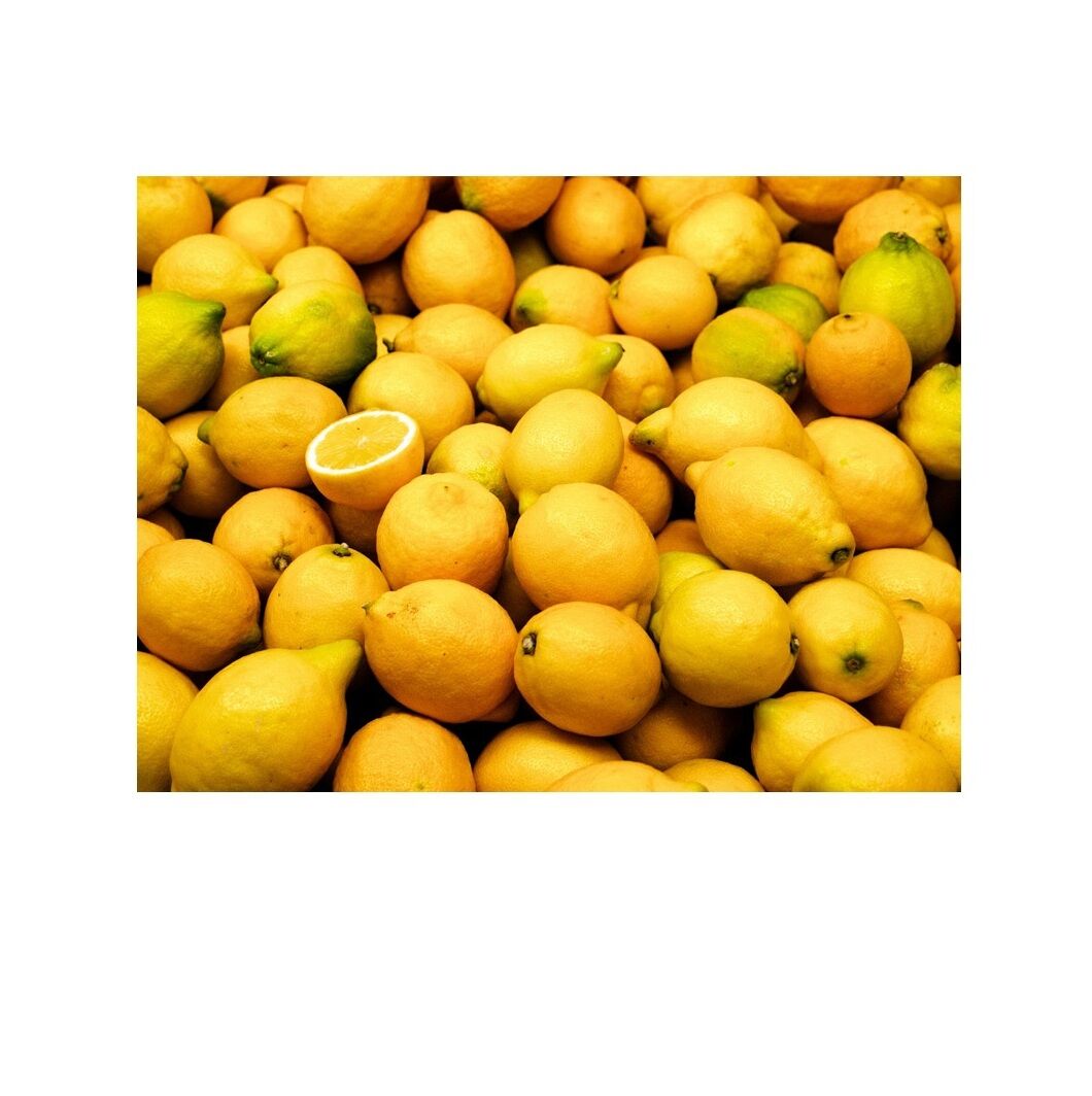 Hot Season Sales Fresh Lemon And Fresh Lime Lemons Oranges Fresh Yellow ...