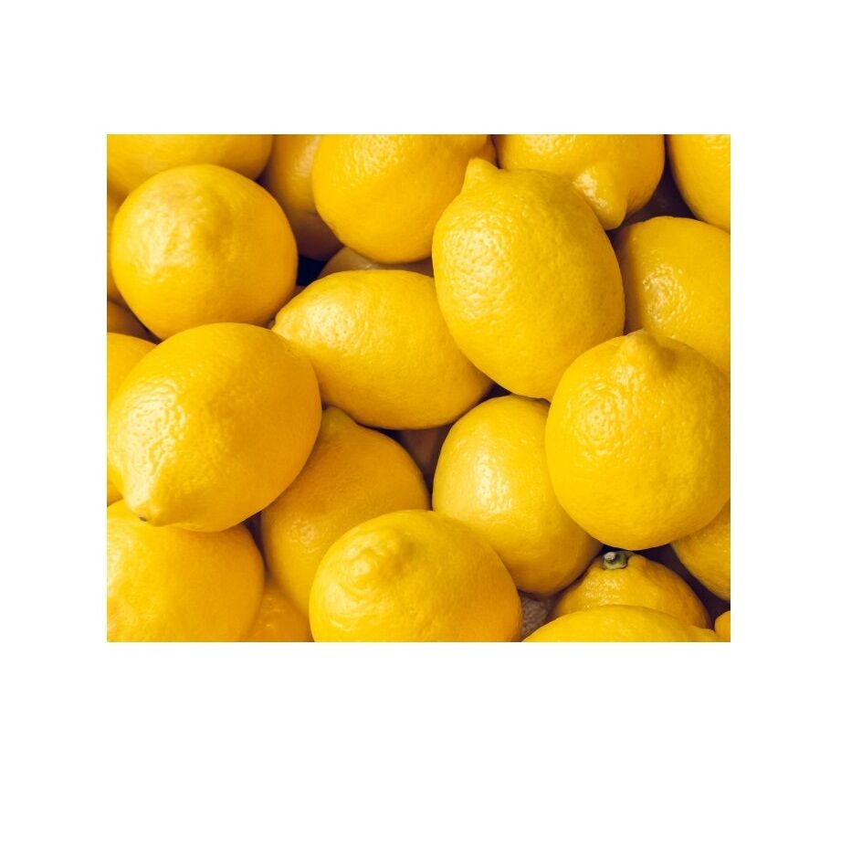 Hot Season Sales Fresh Lemon And Fresh Lime Lemons Oranges Fresh Yellow ...