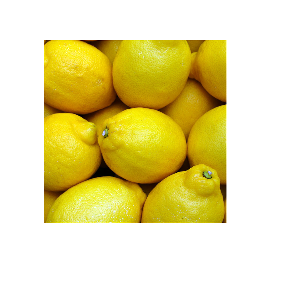Hot Season Sales Fresh Lemon And Fresh Lime Lemons Oranges Fresh Yellow ...