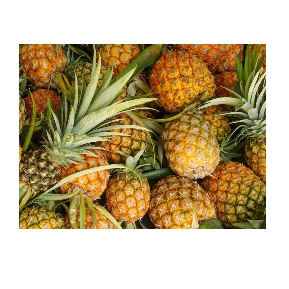 Wholesale Supplier Golden Fresh Pineapples Grade Fresh Pineapple Fresh ...