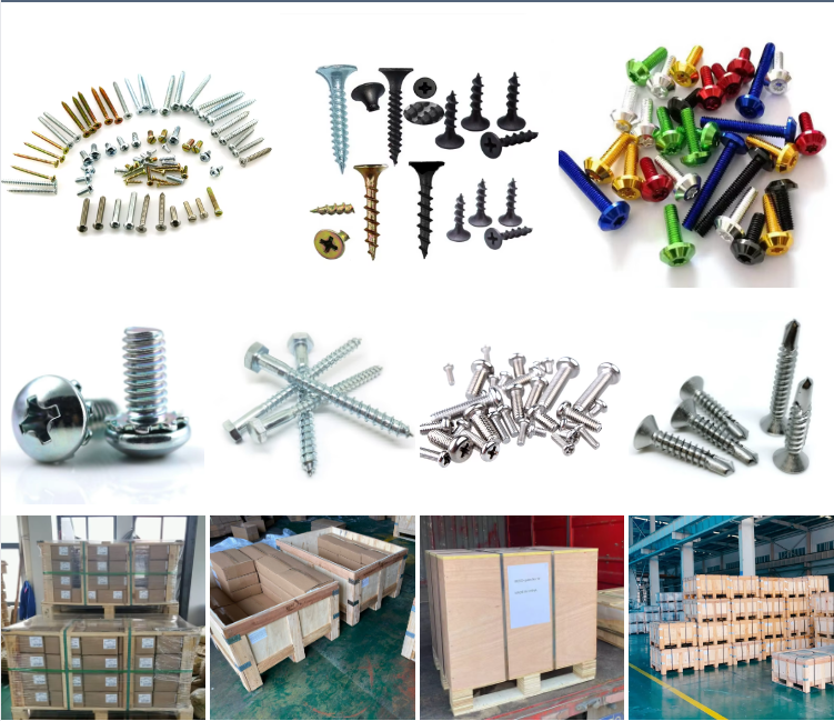 Complete In Specifications Hex Flange Head Drilling Screw With Tapping ...