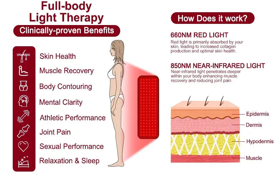Factory Direct High Quality China Wholesale Portable Phototherapy Pain ...