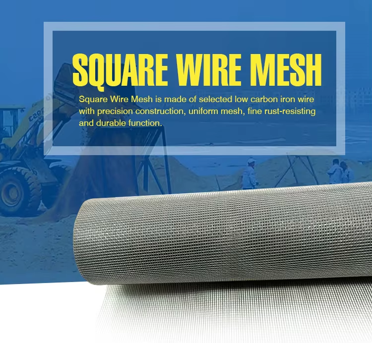 Square Wire Mesh /galvanized Square Wire Mesh For Filtering In Chemical ...