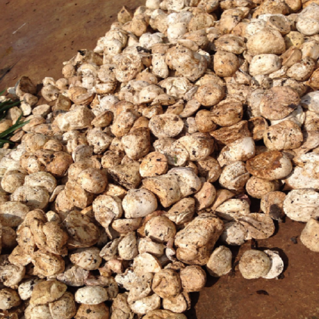 Factory Direct High Quality United States Wholesale Trusted Source For ...