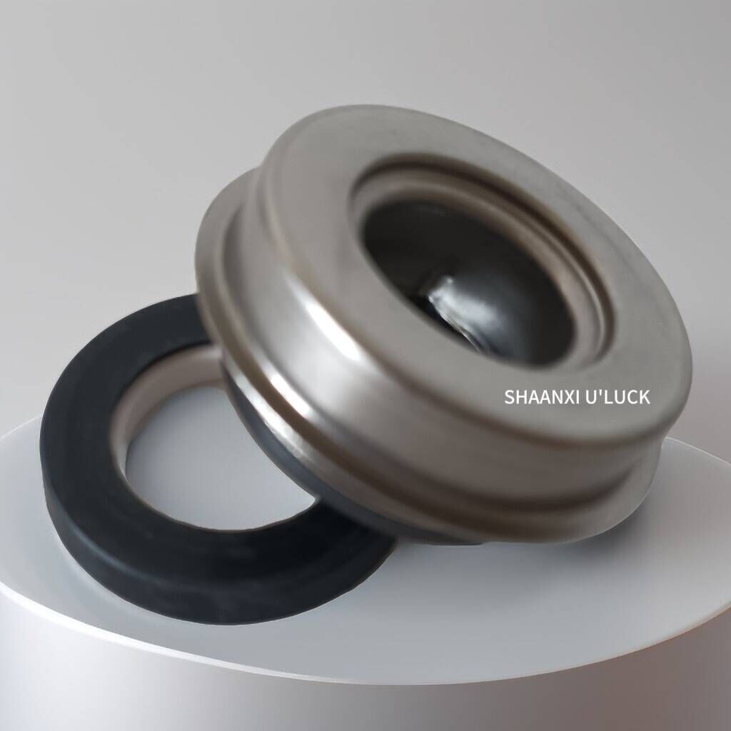 China Factory Manufacture Stainless Steel Slc Tc Nbr Oil Water Pump ...