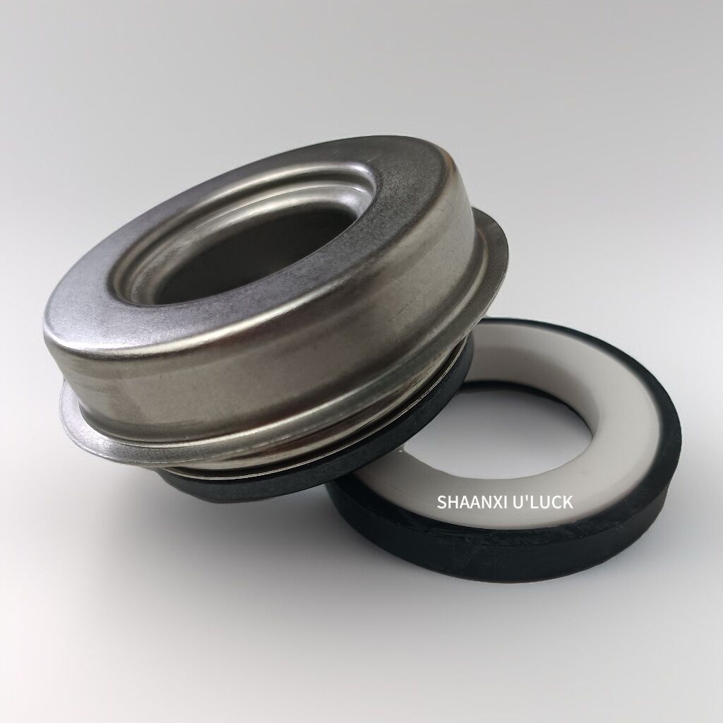 China Factory Manufacture Stainless Steel Slc Tc Nbr Oil Water Pump ...