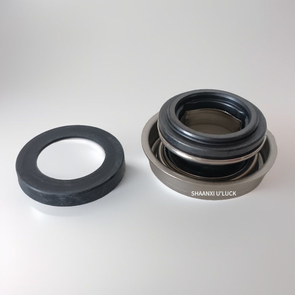 China Factory Manufacture Stainless Steel Slc Tc Nbr Oil Water Pump ...