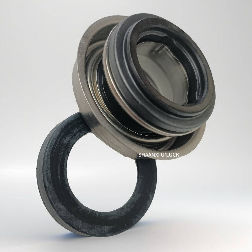 China Factory Manufacture Stainless Steel Slc Tc Nbr Oil Water Pump ...