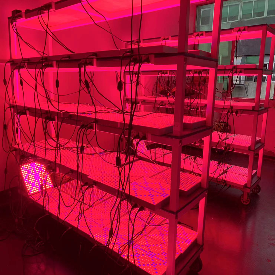 Phototherapy 630nm 830nm Body Care Led Infrared Panel Red Light Therapy ...