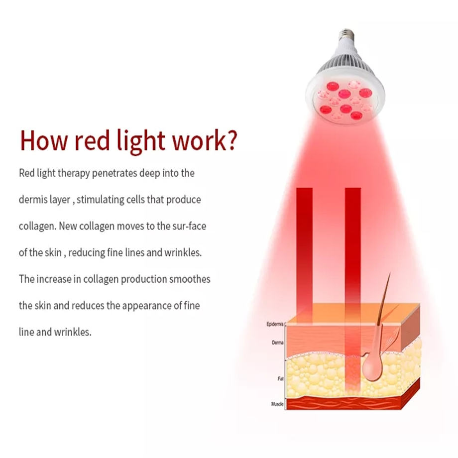 2024 Infrared Red Light Therapy For Face And Body - Buy China Wholesale ...