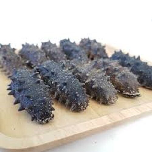 Natural High Quality Dried And Frozen Sea Cucumber $100 - Wholesale ...
