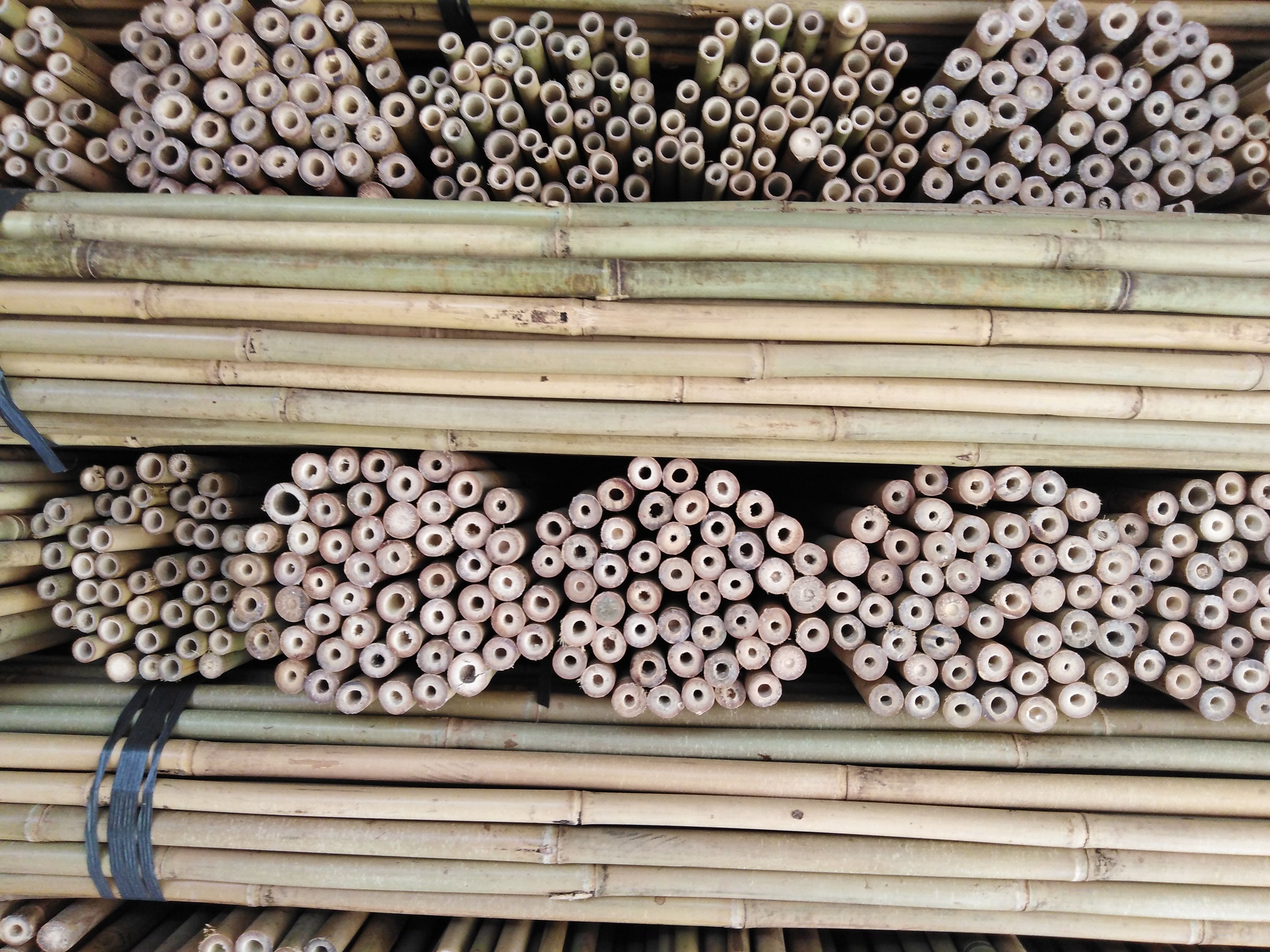 Natural Bamboo Garden Stakes, Bamboo Plant Stakes,bamboo Sticks For ...
