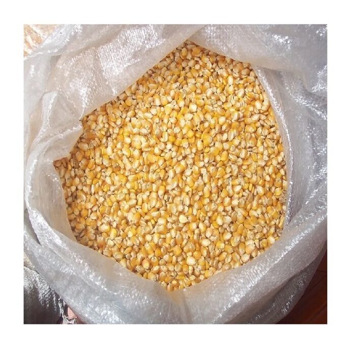 Factory Direct High Quality France Wholesale Yellow Corn/ Yellow Corn ...