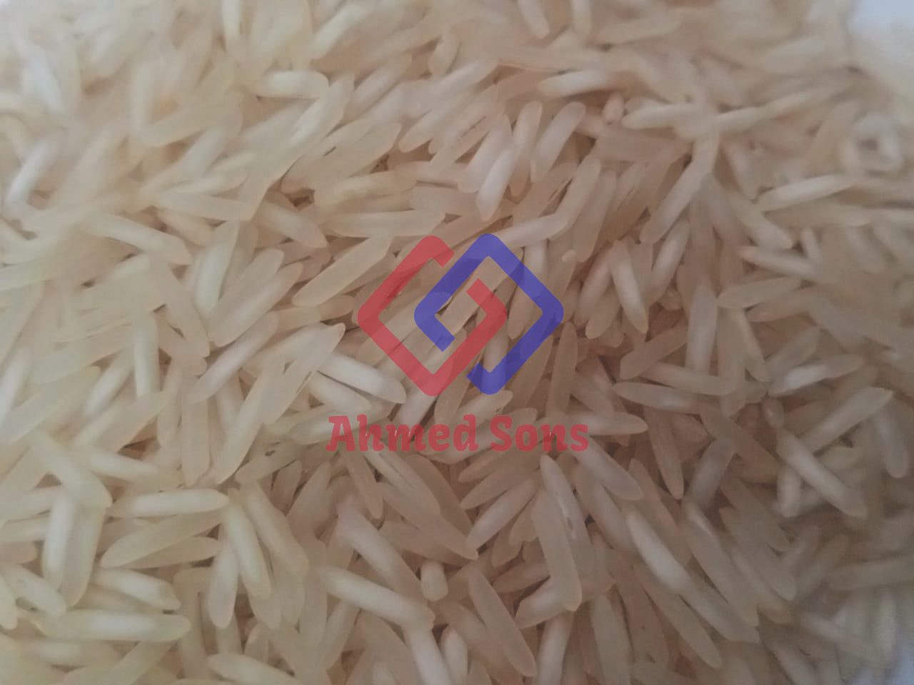 Organic Basmati Rice - Expore India Wholesale Organic Basmati Rice and ...