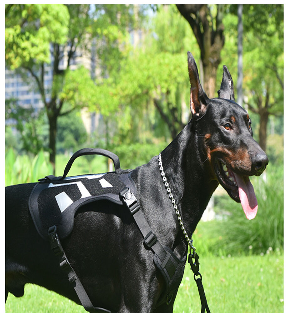 Dog Chest Strap Explosion-proof Impact Medium And Iarge Dog Tactical ...