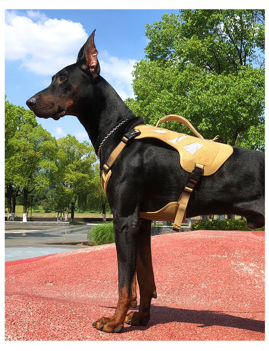 Dog Chest Strap Explosion-proof Impact Medium And Iarge Dog Tactical ...