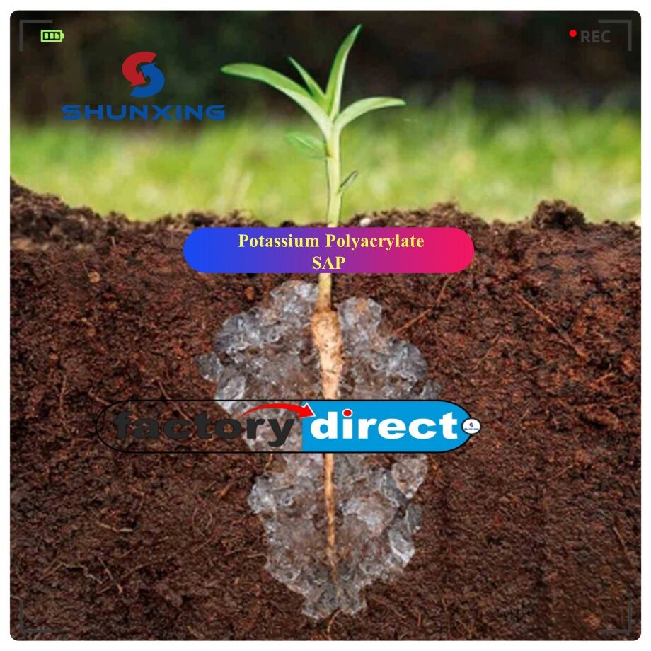 Factory Direct High Quality China Wholesale High Purity Potassium ...