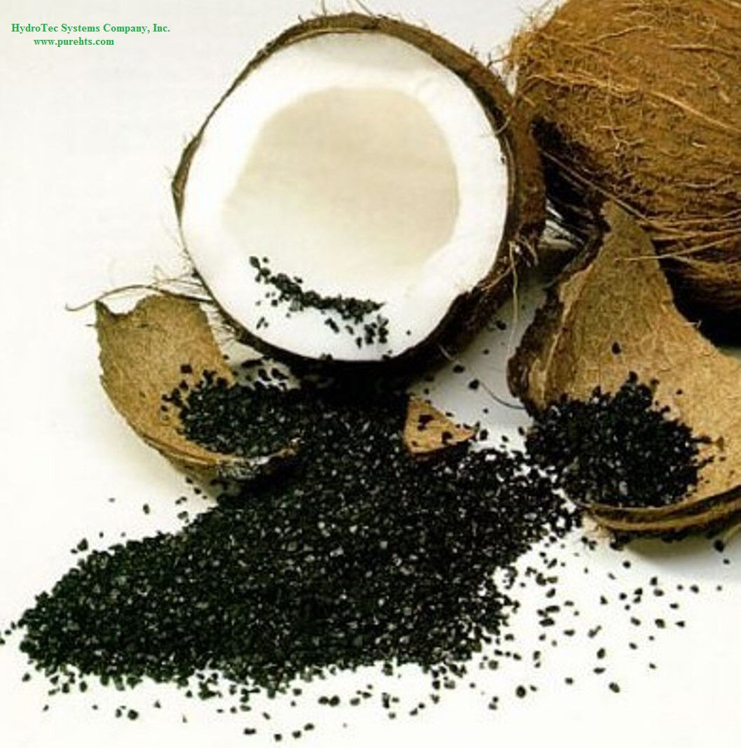 5 Lbs Bulk Water Filter/air Filter Refill Coconut Shell Granular ...