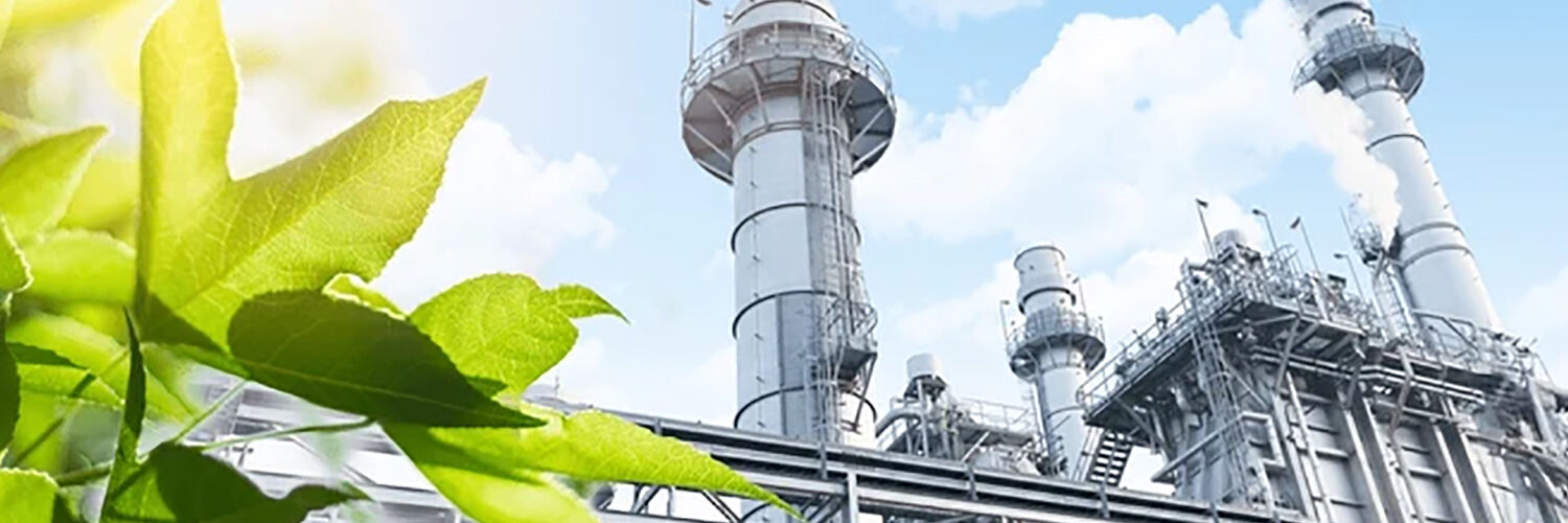 Bulk Buy China Wholesale Sweetener Steviol Glycoside Stevioside ...