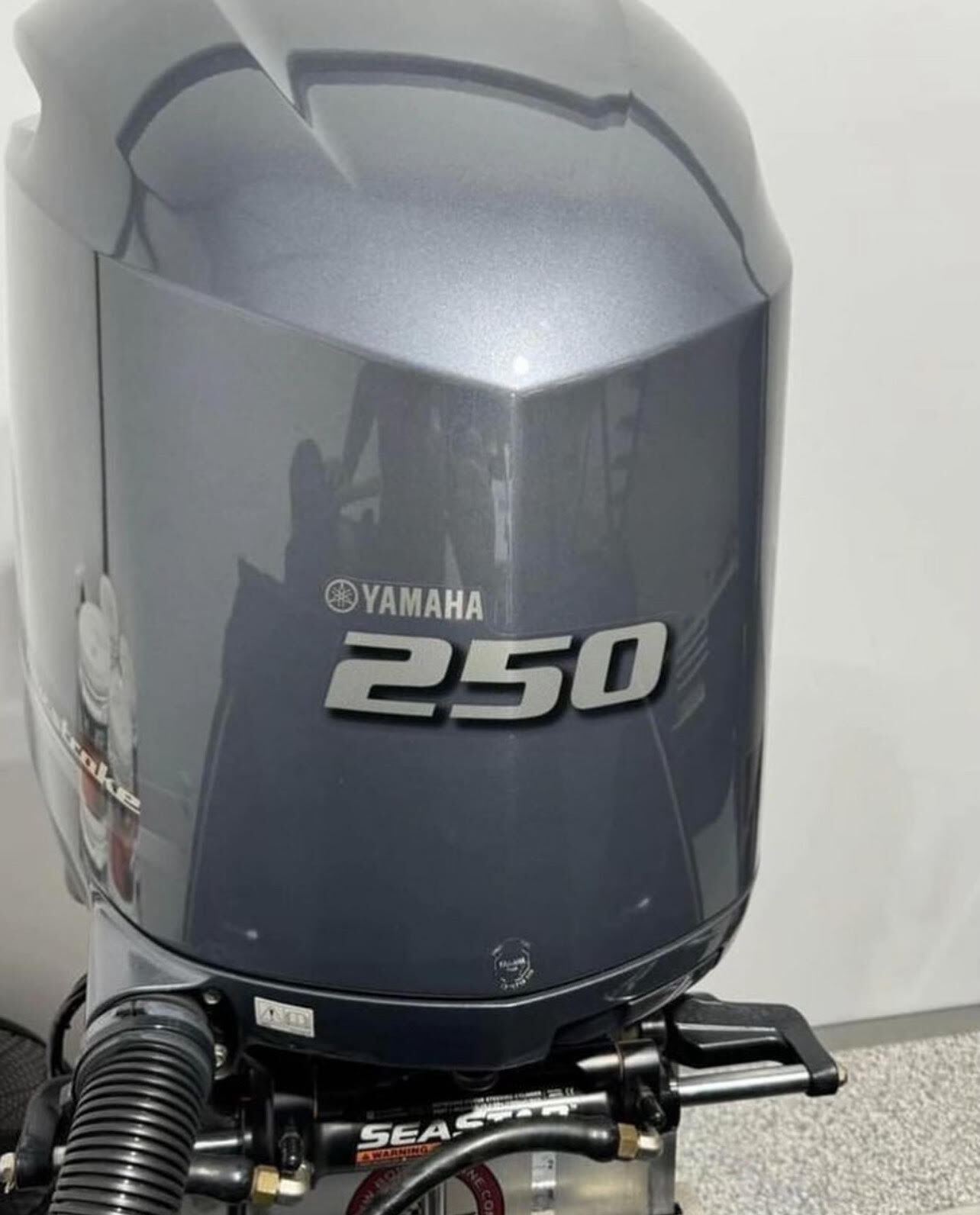 20hp 4-stroke Electronic Fuel Injection Boat Engine Outboard Motor ...