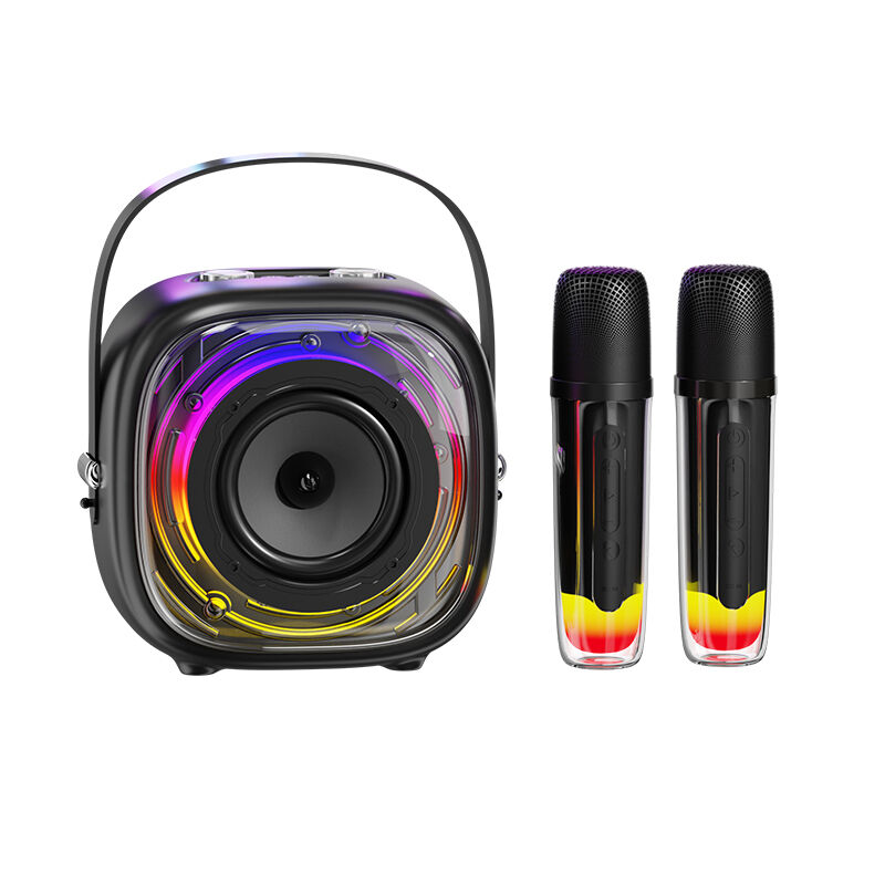Portable Bluetooth Karaoke Speaker System Dual Professional Microphone ...