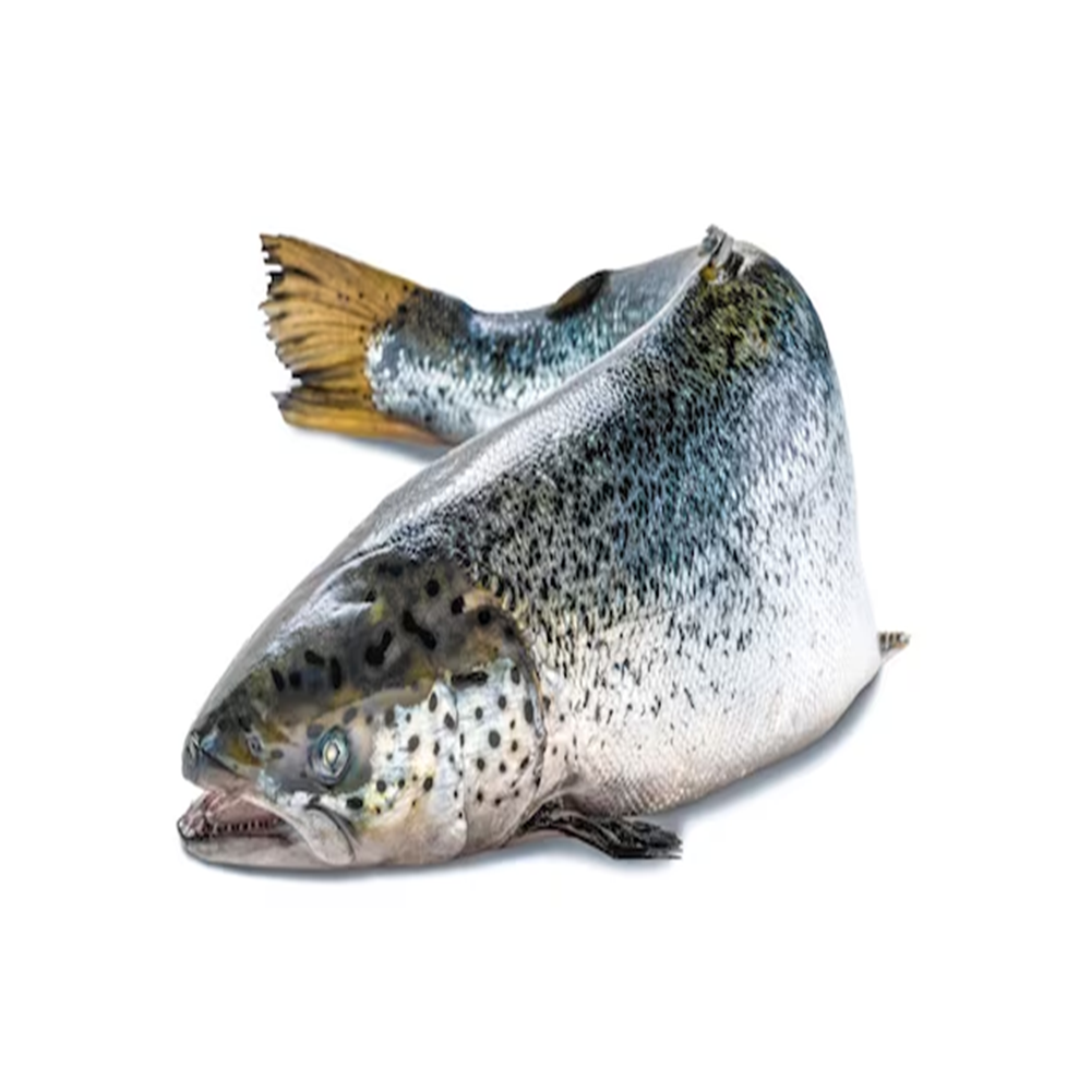 Factory Direct High Quality Thailand Wholesale Wholesale Price Salmon ...