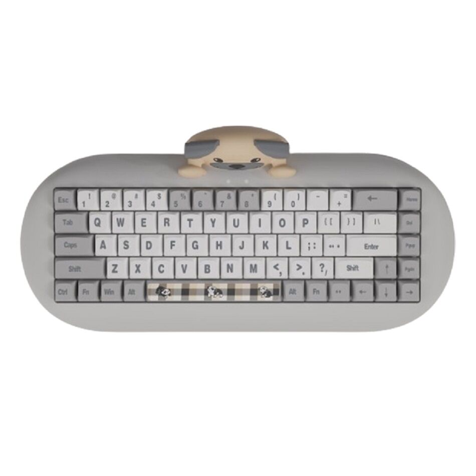 New Design Unique Appearance Color Wireless Keyboard, Office Keyboard ...