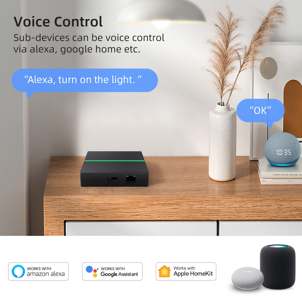 Buy China Wholesale Avatto Tuya Smart Matter Gateway Smart Home Hub ...